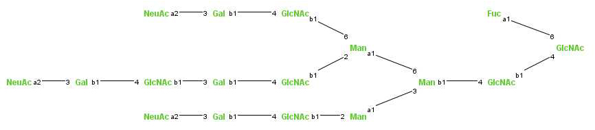 Chinese hamster, CHO cells N-Glycans