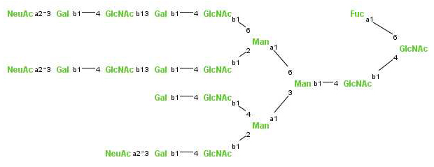 Chinese hamster, CHO cells N-Glycans