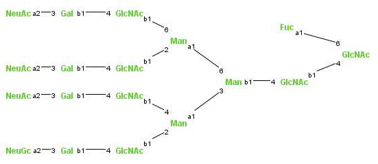 Chinese hamster, CHO cells N-Glycans