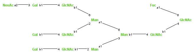 Chinese hamster, CHO cells N-Glycans